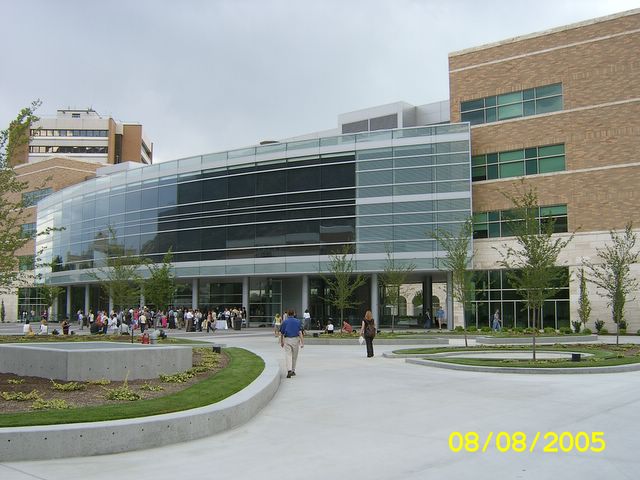 BYU Ranks #1 Most Sober University – Go Cougars! | Tasithoughts' Weblog